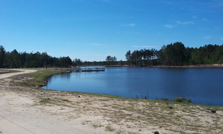 Top 15 Things to Do in Atmore of Alabama - Save Dollar