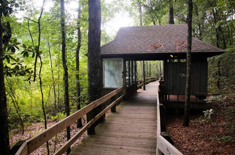 Top 15 Things to Do in Dothan of Alabama - Save Dollar