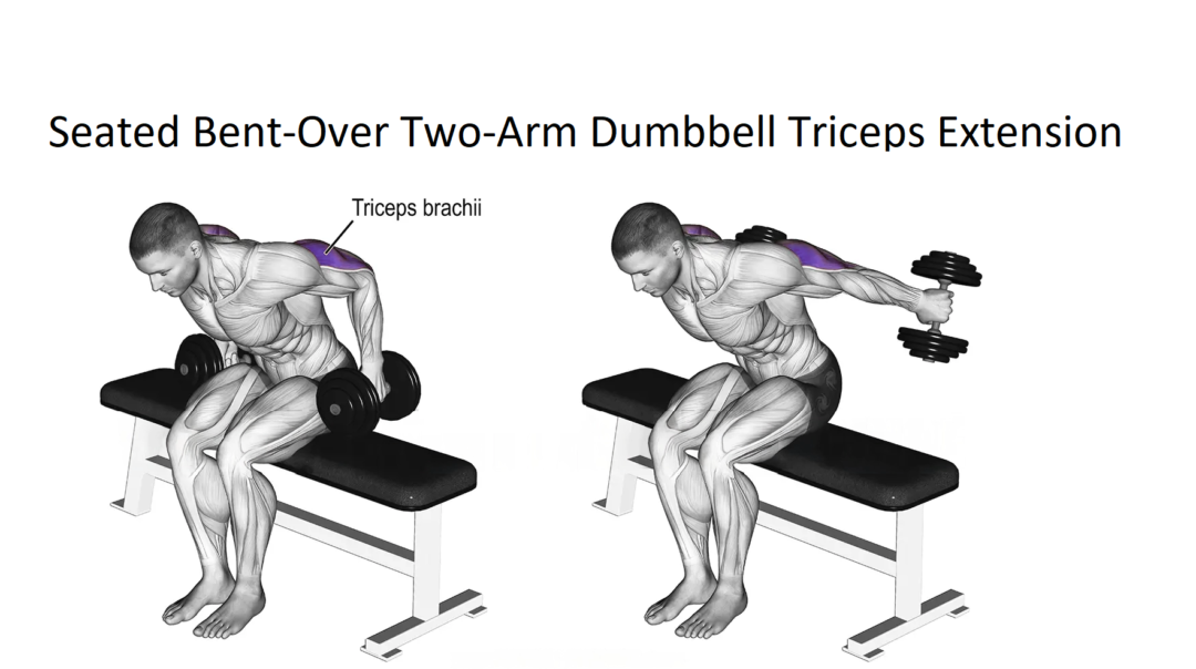 Seated Bent-Over Two-Arm Dumbbell Triceps Extension - Save Dollar